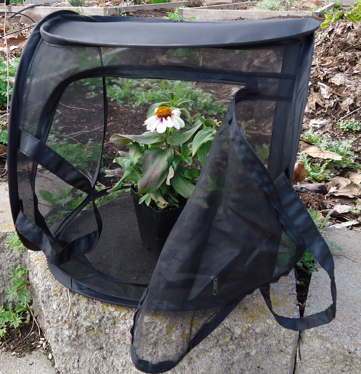 12 inch Cube Rearing and Release Cage – Sagebrush Butterflies