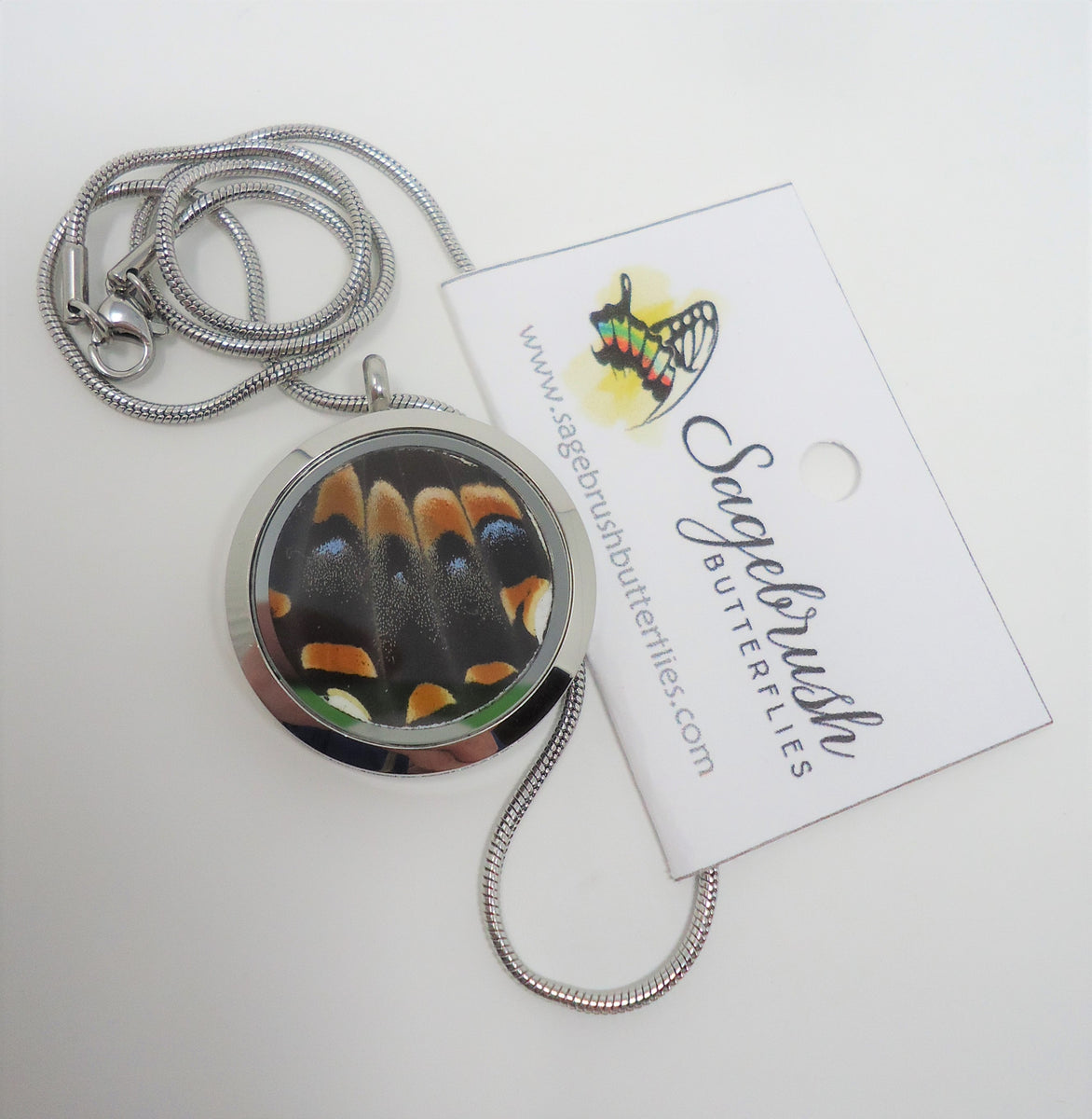 Laurel Swallowtail Real Butterfly Wing Locket -- Papilio palamedes ...