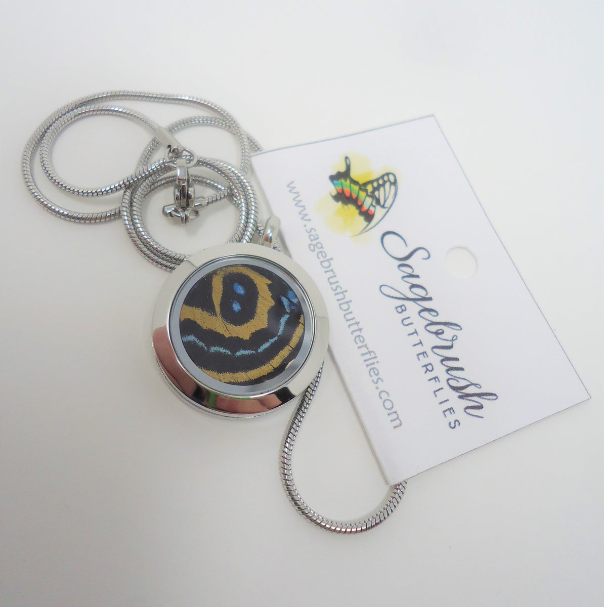 Callicore Real Butterfly Wing Jewelry Locket - callicore excelsior ...